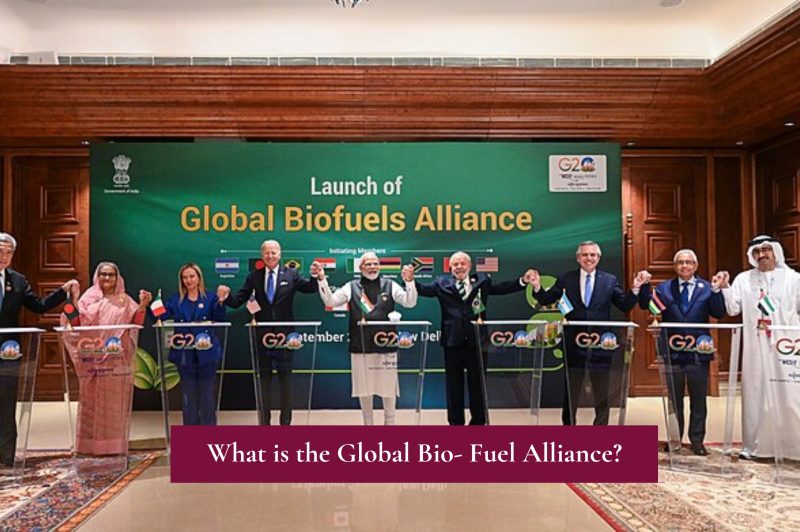 What is the Global Bio-Fuel Alliance? - London School of Business