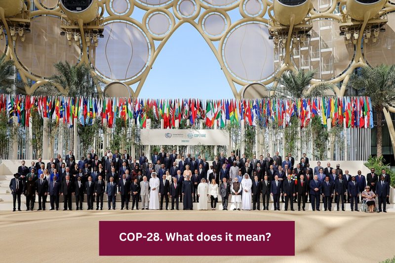 COP-28- What does this mean? - London School of Business